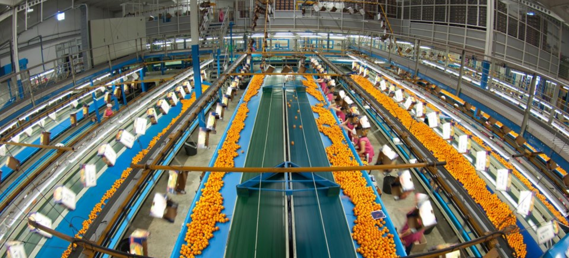 Soporte en la elaboración de la Memoria de Sostenibilidad de la empresa ...